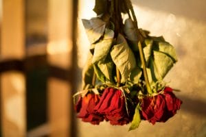 Comment Faire Secher Un Bouquet De Roses