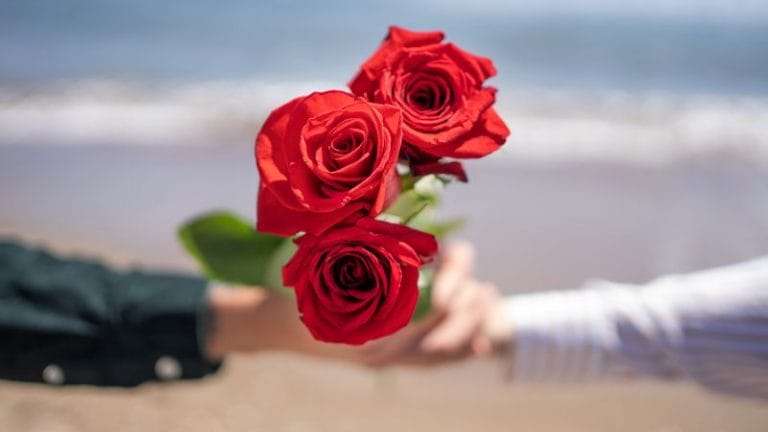 Offrir des fleurs pour se faire pardonner - Interflora