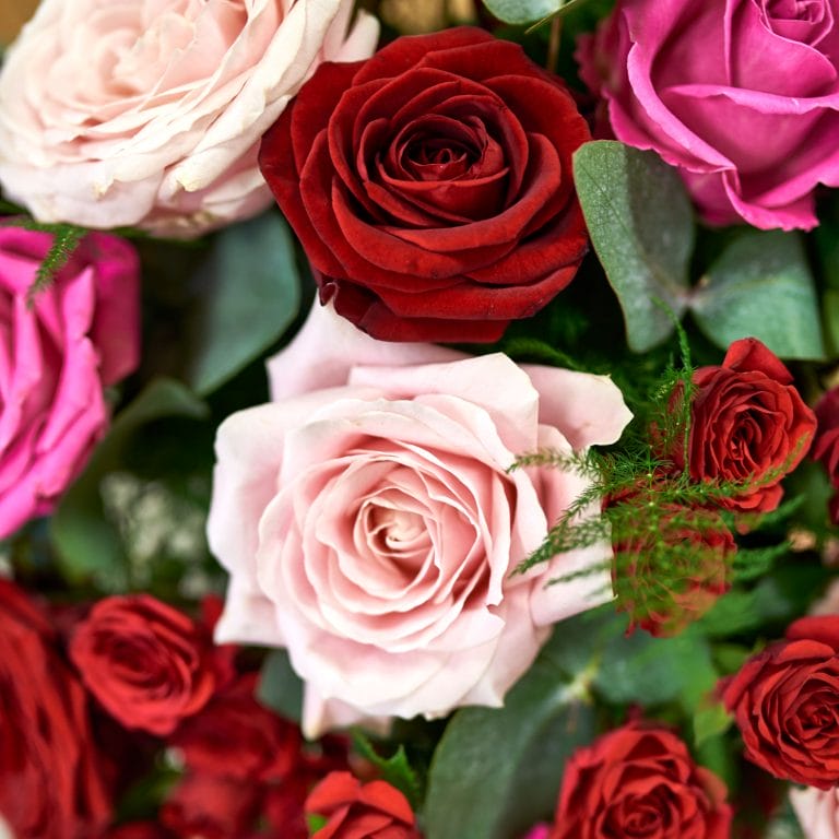 Comment conserver des roses plus longtemps ? | Interflora