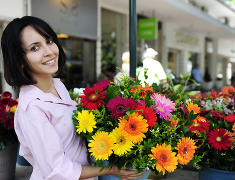 Fleuristes à Brumath : livraison de fleurs à Brumath (67) | Interflora