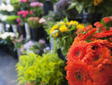 Fleuristes à Chambéry : livraison de fleurs à Chambéry (73) | Interflora