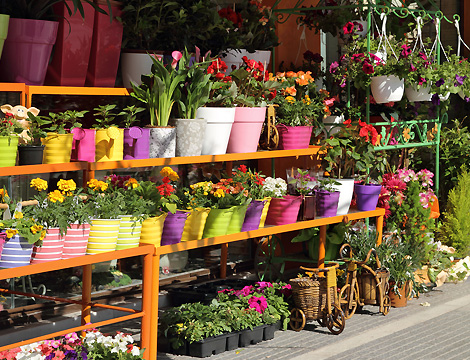 Fleuristes au Moule : livraison de fleurs au Moule (971) | Interflora