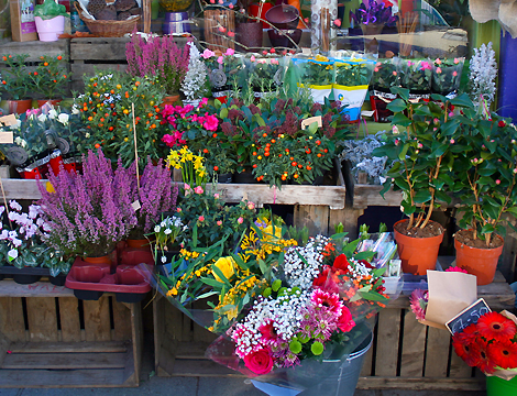 Fleuristes à Rochefort : livraison de fleurs à Rochefort (17) | Interflora