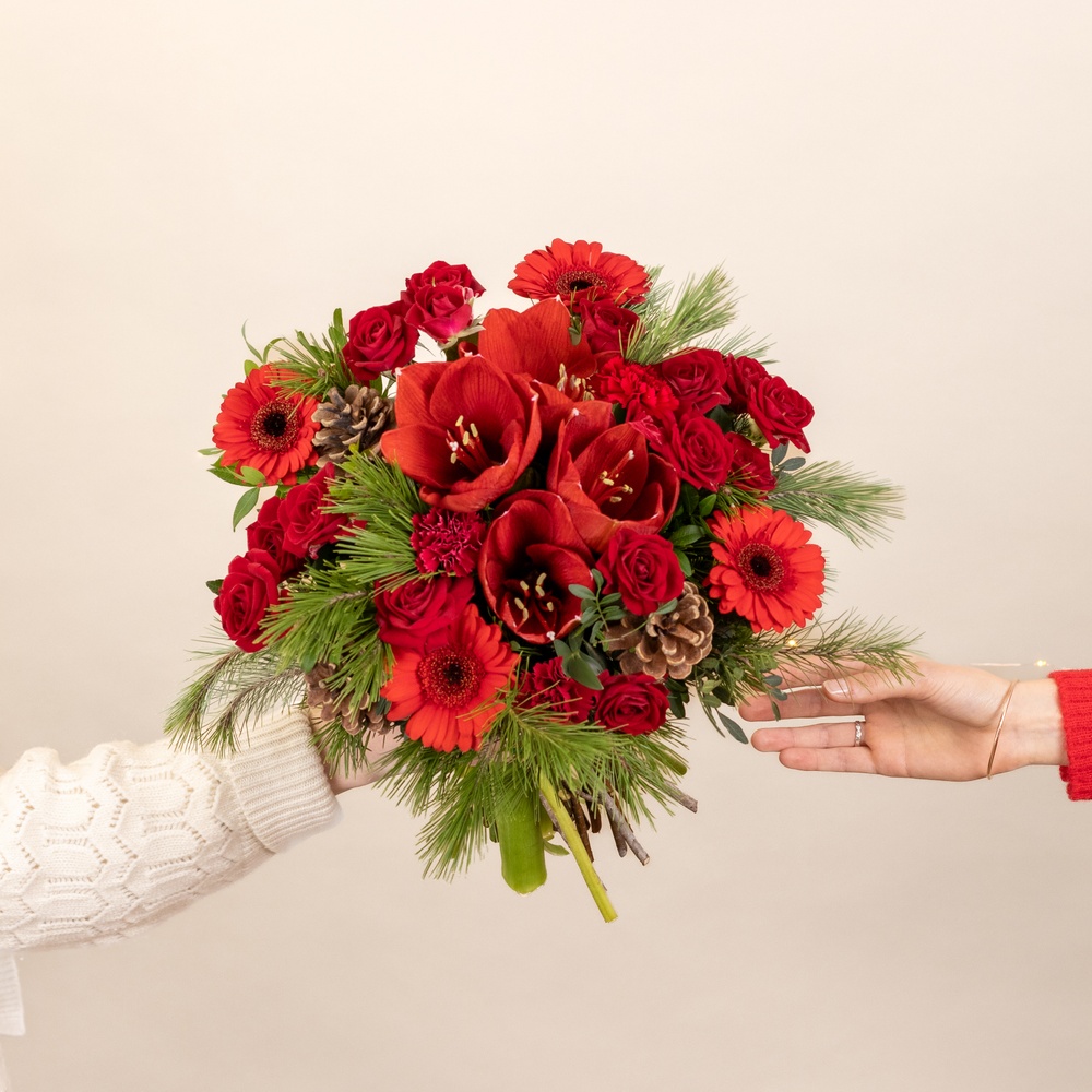 Bouquet d'Amaryllis rouge : esprit de fêtes, bouquet de fleurs rouges ...